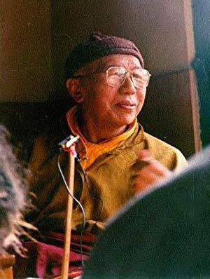 The Fifth Paramita: Going Beyond Techniques - Tsoknyi Rinpoche