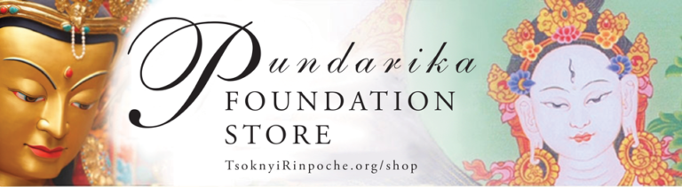Tsoknyi Rinpoche | Pundarika Foundation
